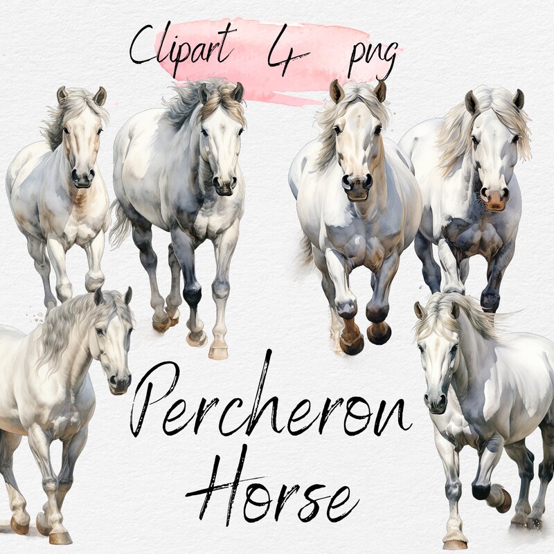 Percheron - Etsy