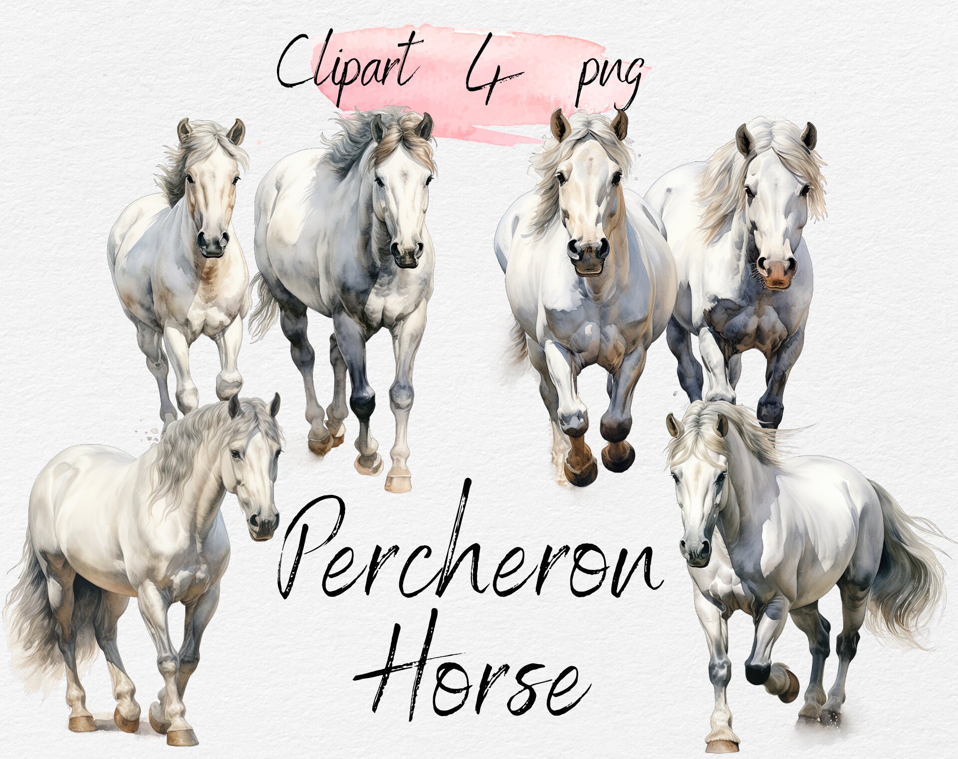 Watercolor Percheron Horse Clipart: PNG Bundle, Commercial Use (digital ...