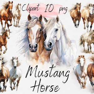 Watercolor Clipart of Mustang Horse PNG Bundle for Digital Products ...