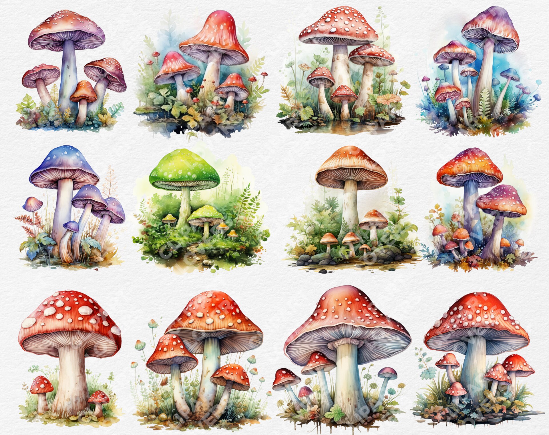 Mushrooms Watercolor Clipart PNG Bundle Scrapbooking, Junk Journal ...