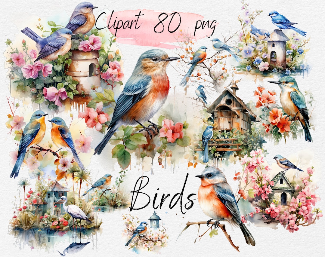 Watercolor Birds Clipart Bundle: 80 PNG Designs (digital Download) - Etsy