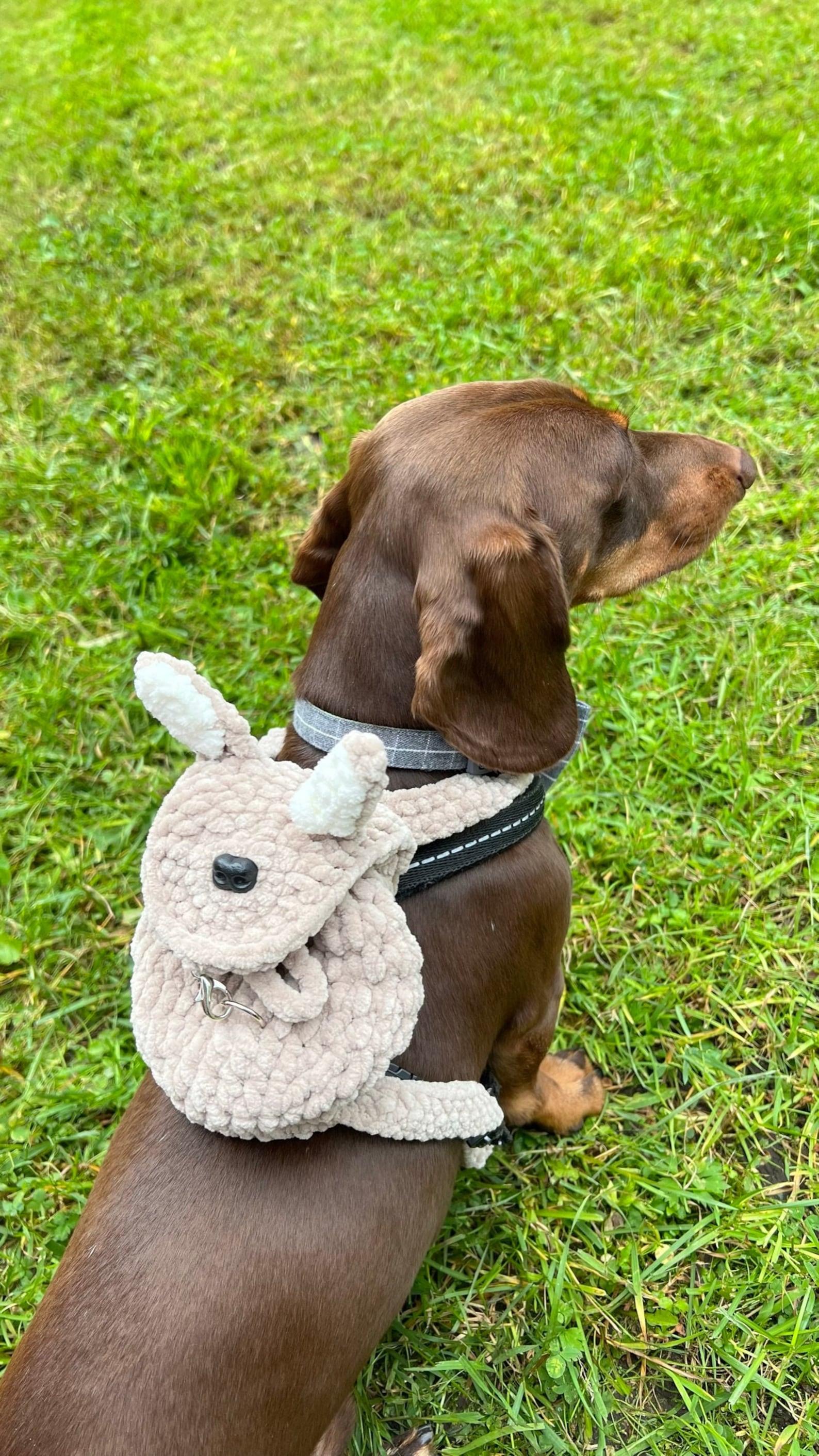Cute Dog Crochet Backpack Puppy Travel Bags Handmade Trendy - Etsy