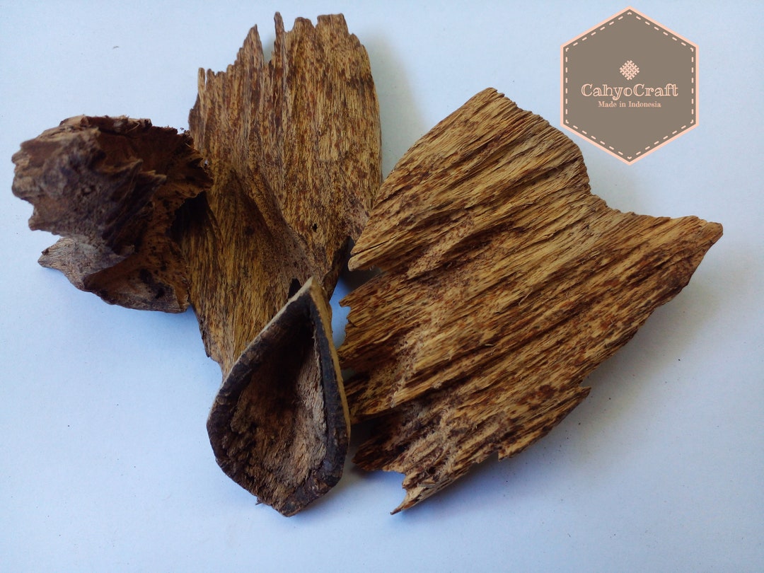 Wild Agarwood Oud Long Lasting From Borneo Kalimantan - Etsy