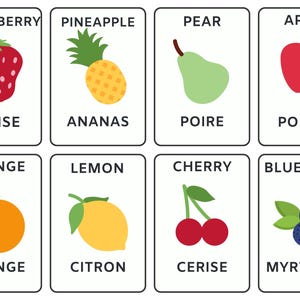 Fruit Flashcards English/french - Etsy