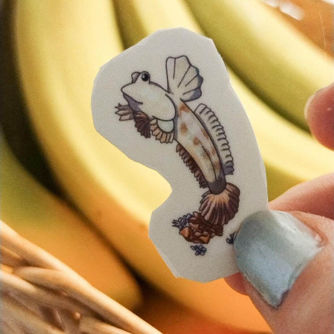 Great Blue Spotted Mudskipper Sticker 1 Matte Sticker Waterproof Vinyl ...