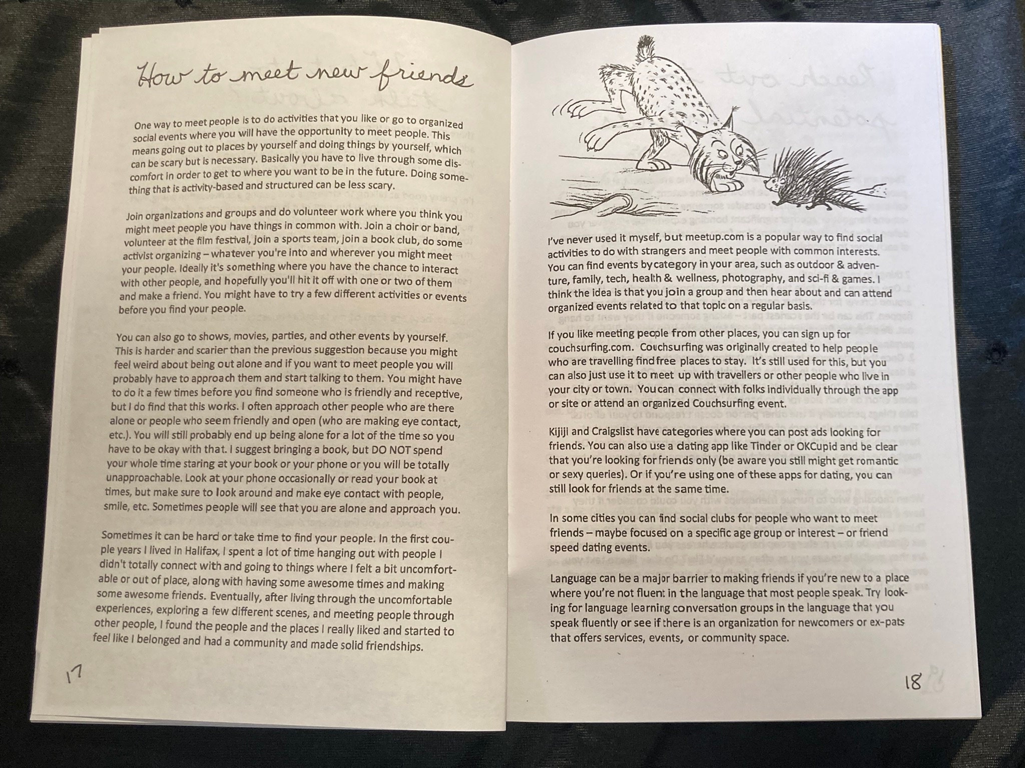 Amanda's Guide to Making Friends Zine and Workbook About Friendship and ...