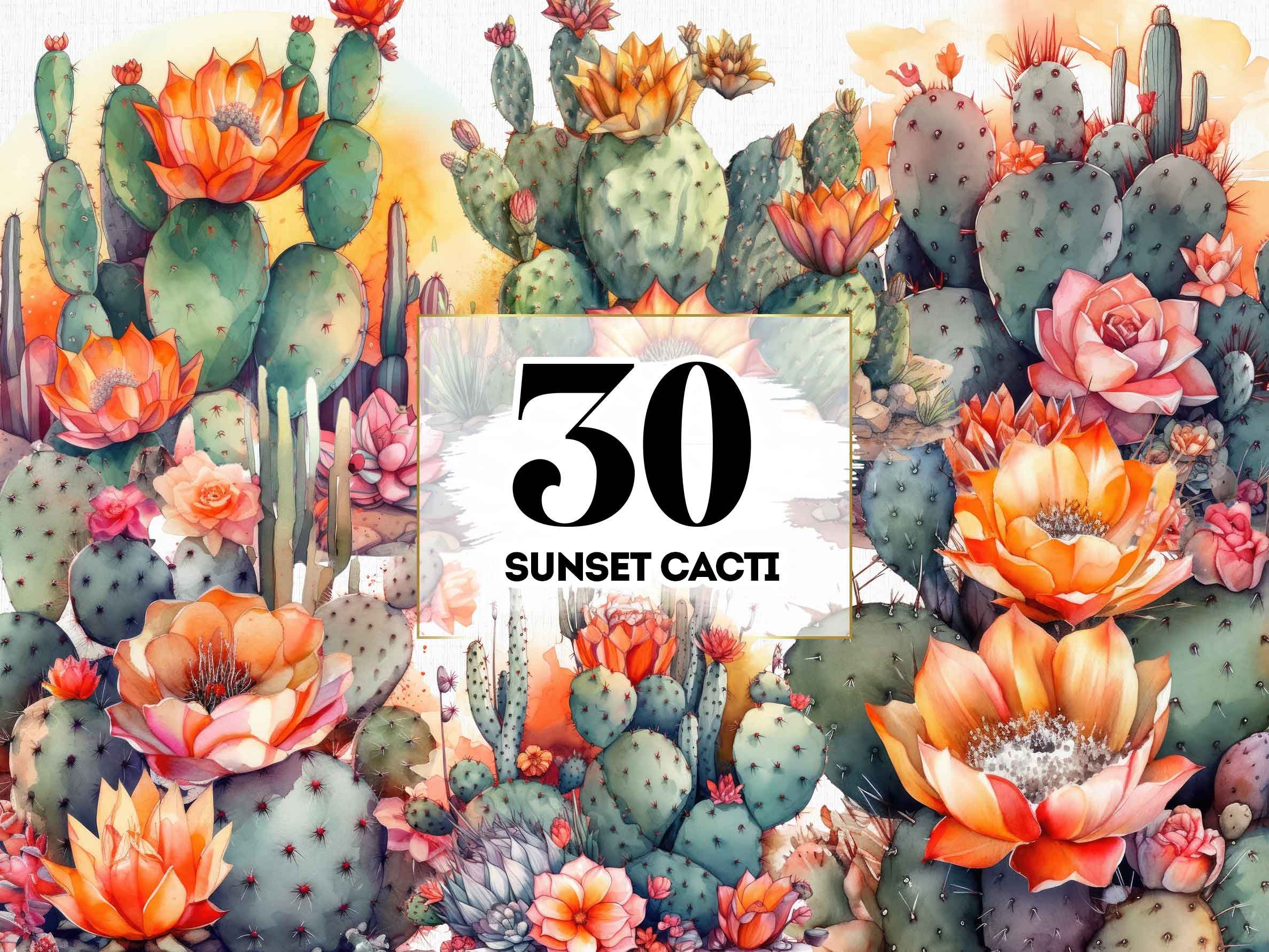 30 PNG Sunset Cacti Clipart Cactus Flower Digital Download - Etsy