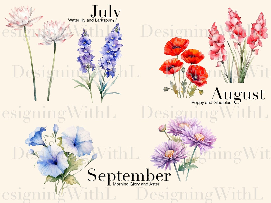 Birth Month Flower Clipart Watercolor Floral PNG Bundle DIY Birth ...