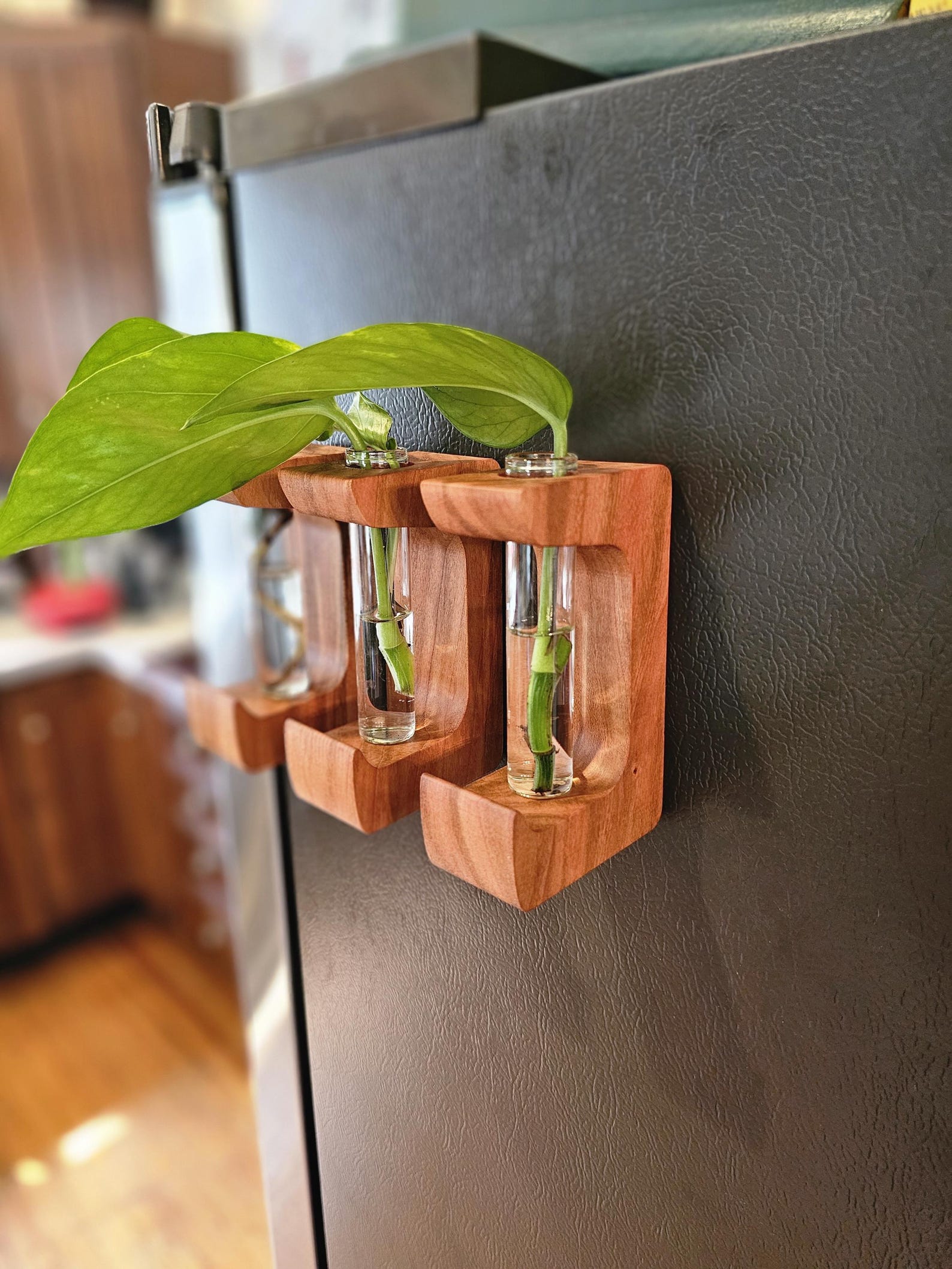 Magnetic Plant Hangers Pack Gift Set, Propagation Wall Vase for Plant ...
