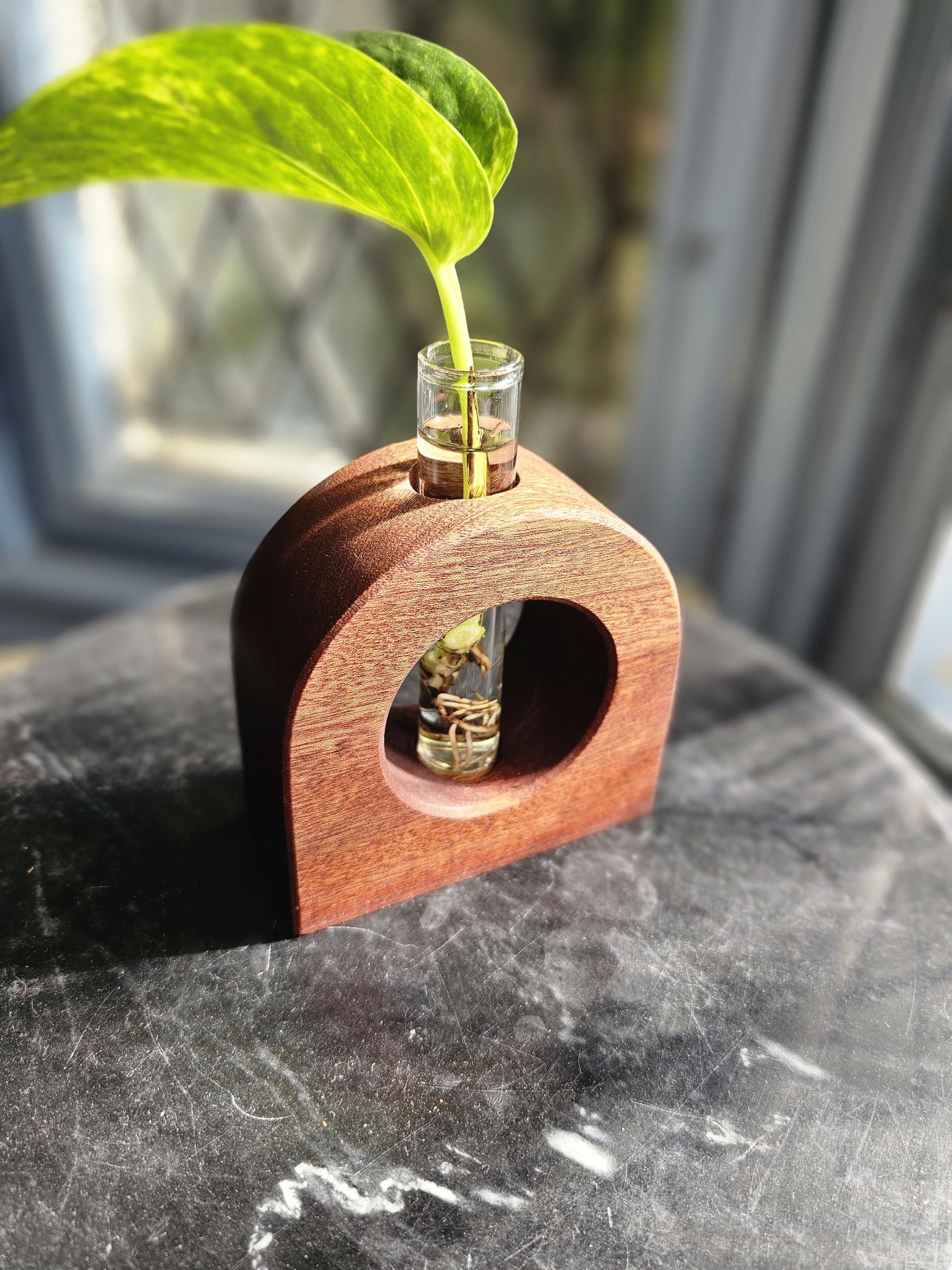 Propagation Station Plant Vial Holder for Botanical Lovers, Boho ...