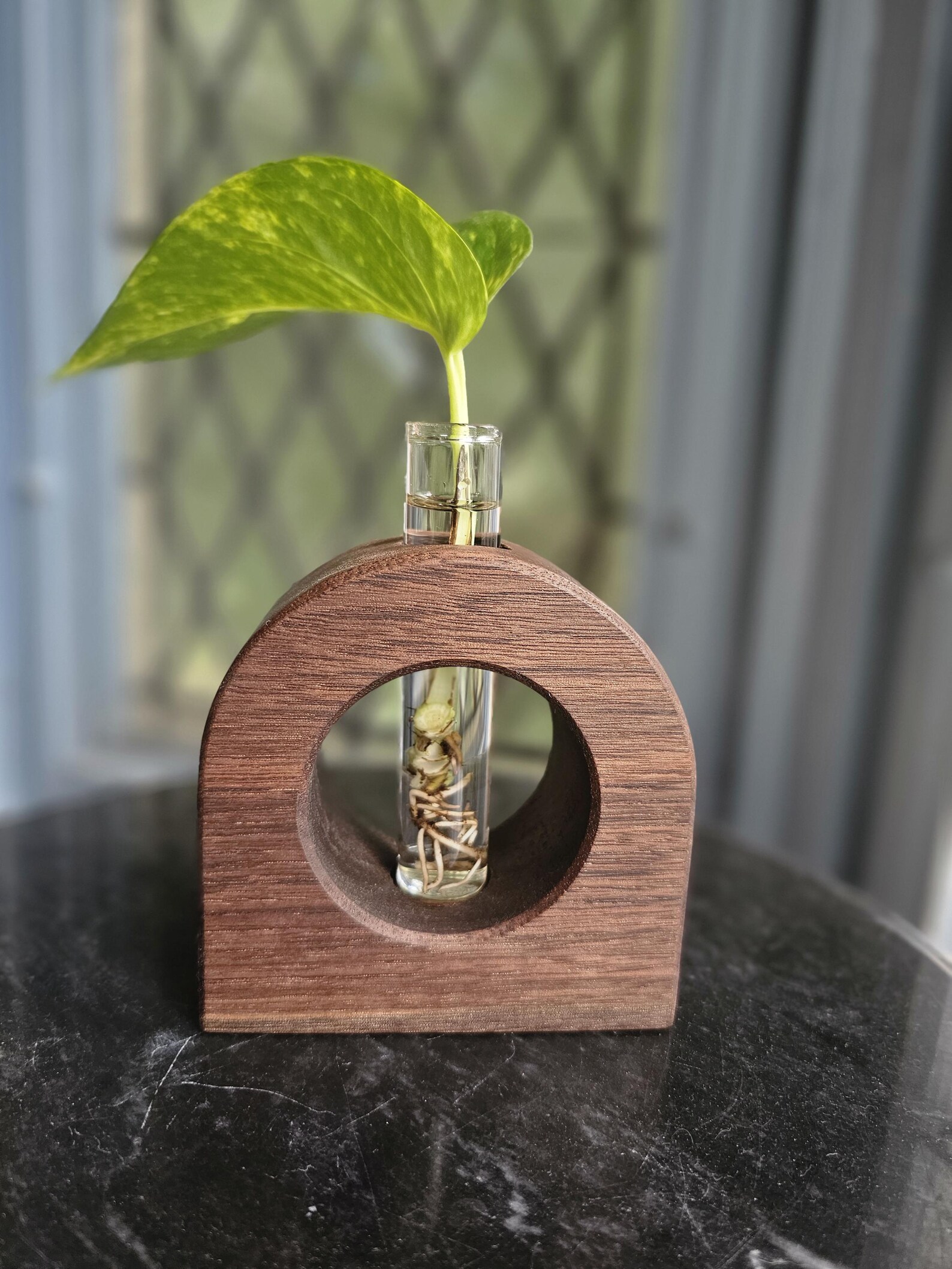 Propagation Station Plant Vial Holder for Botanical Lovers, Boho ...