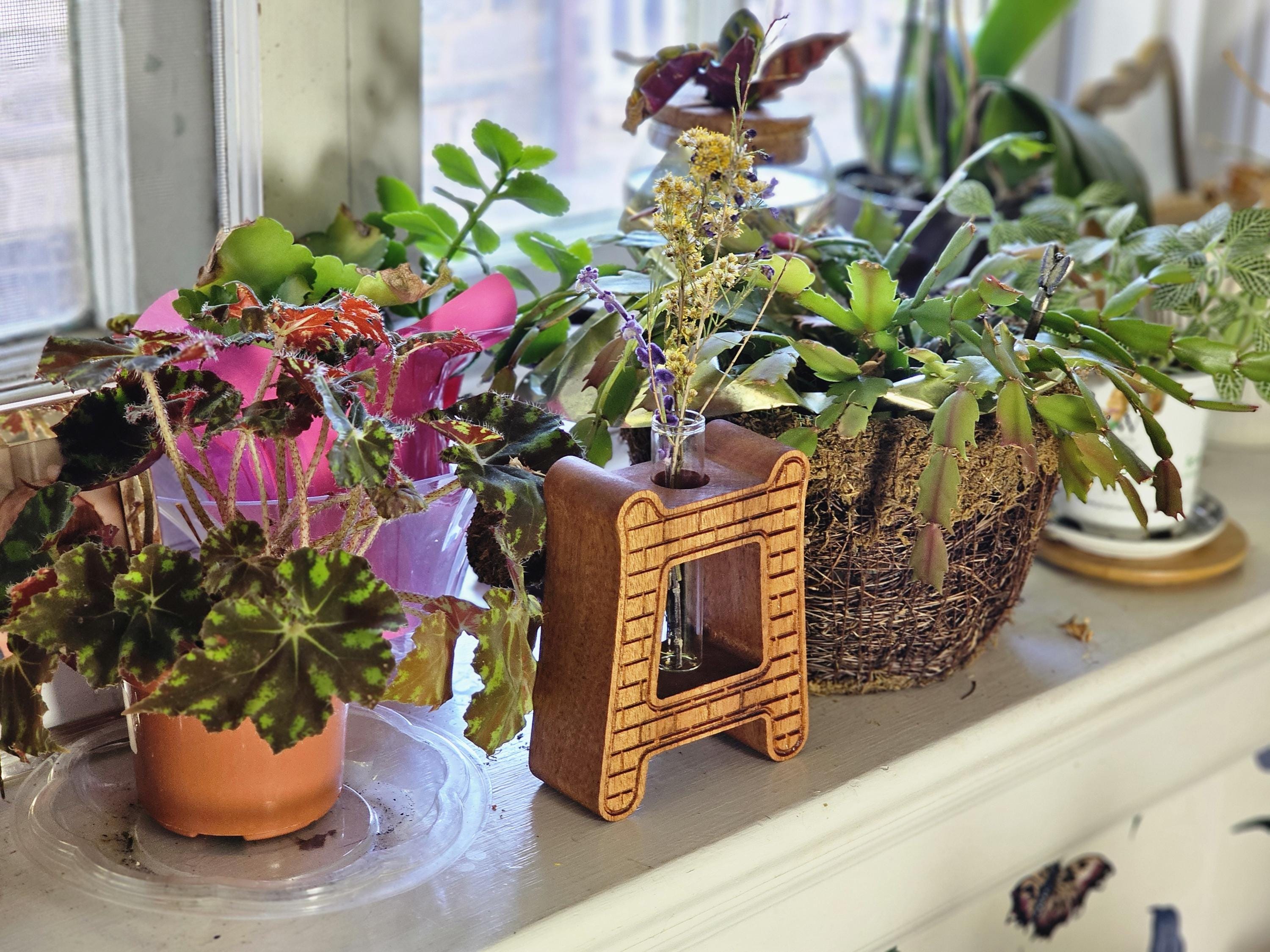 Handcrafted Wooden Propagation Station, Ideal for Plant Lovers, Boho ...