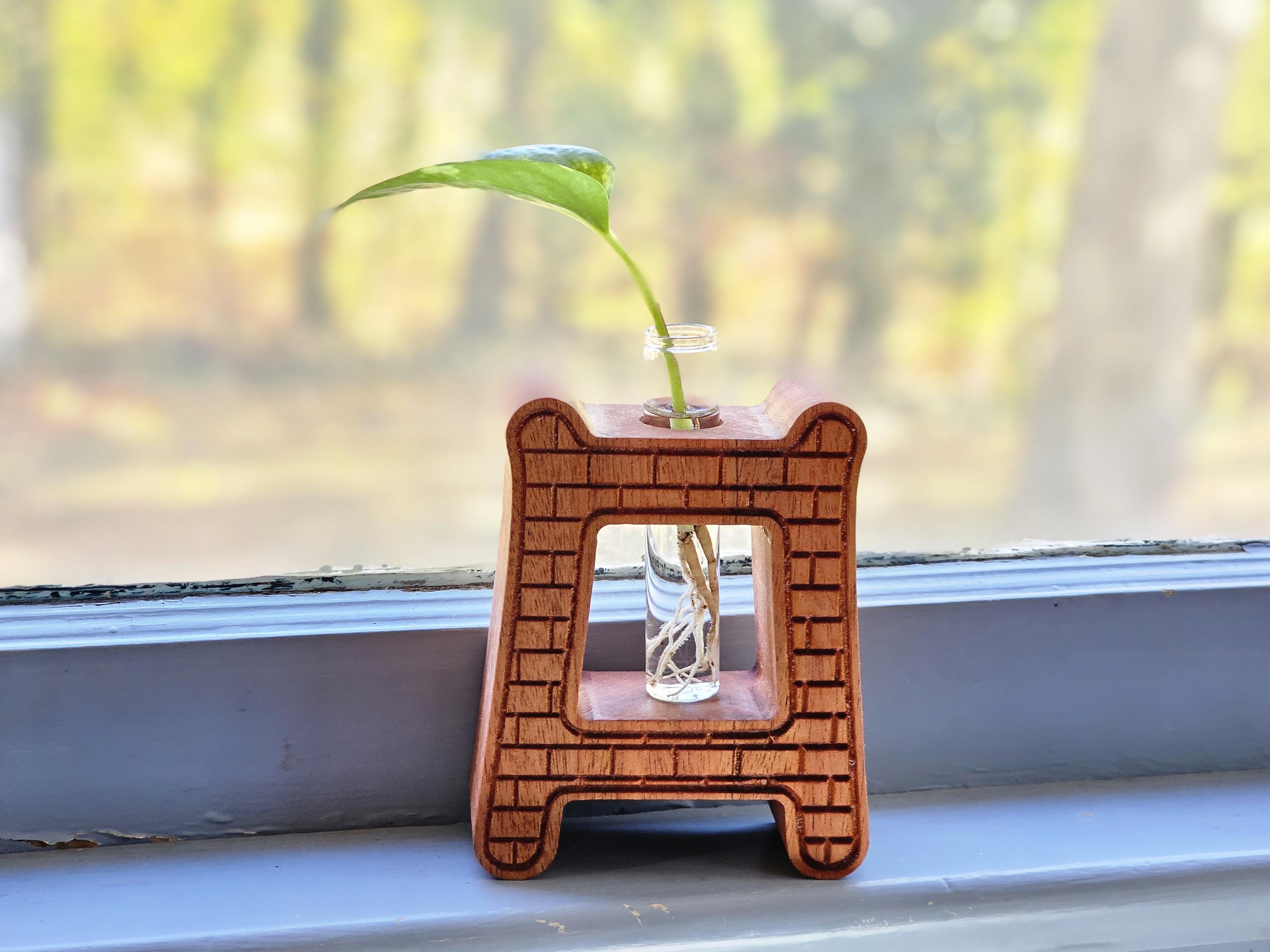 Handcrafted Wooden Propagation Station, Ideal for Plant Lovers, Boho ...