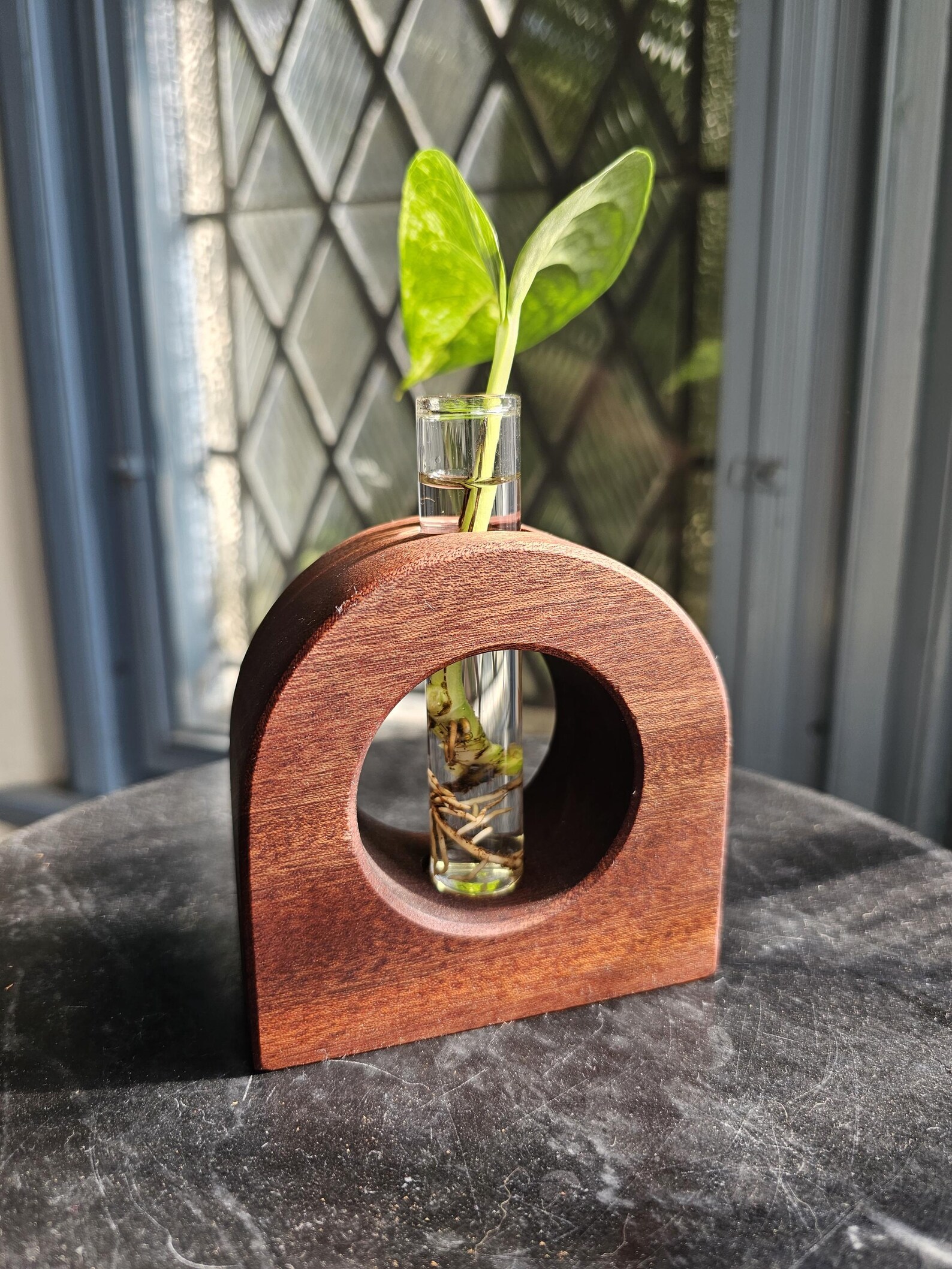 Propagation Station Plant Vial Holder for Botanical Lovers, Boho ...