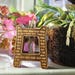 Handcrafted Wooden Propagation Station, Ideal for Plant Lovers, Boho ...