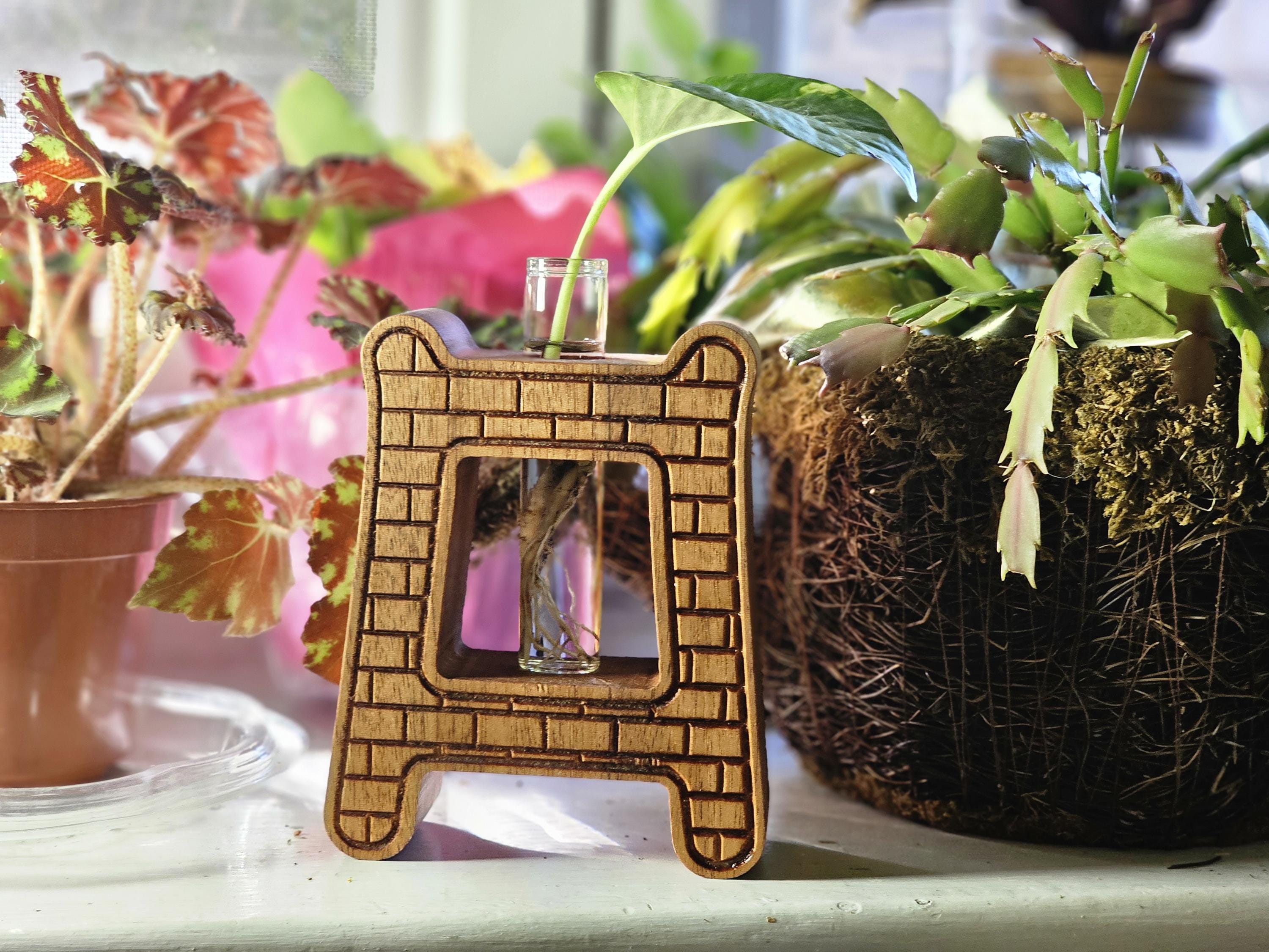 Handcrafted Wooden Propagation Station, Ideal for Plant Lovers, Boho ...