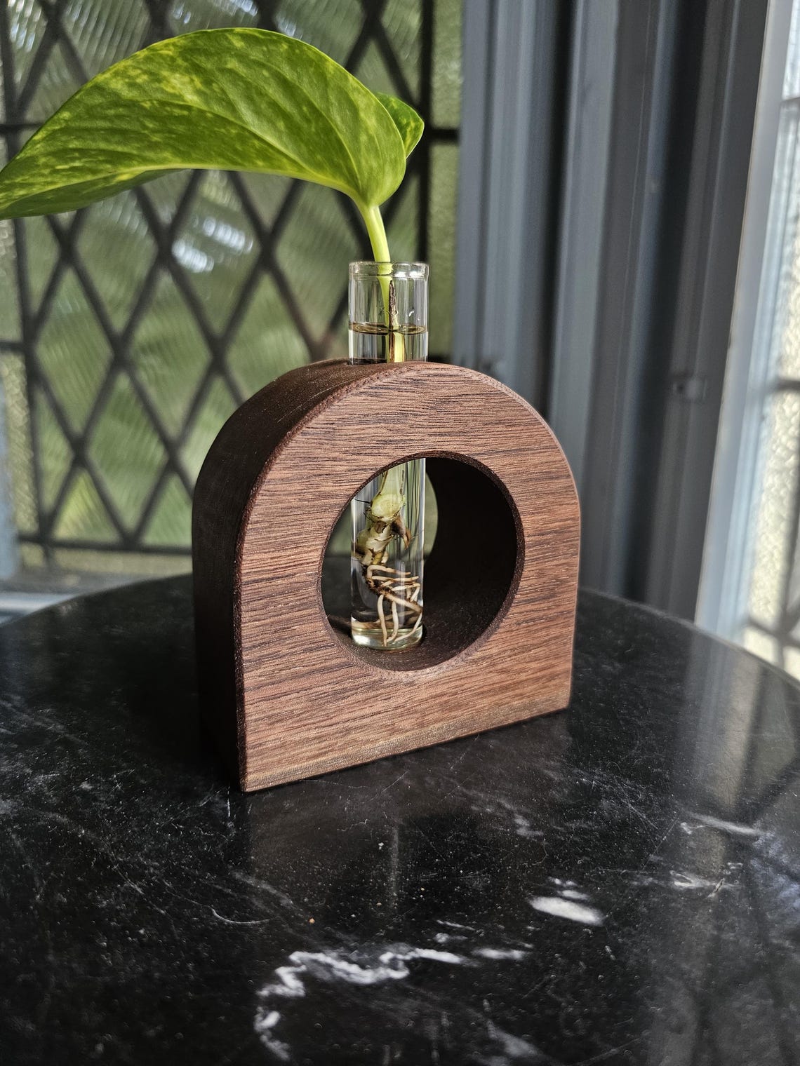 Propagation Station Plant Vial Holder for Botanical Lovers, Boho ...