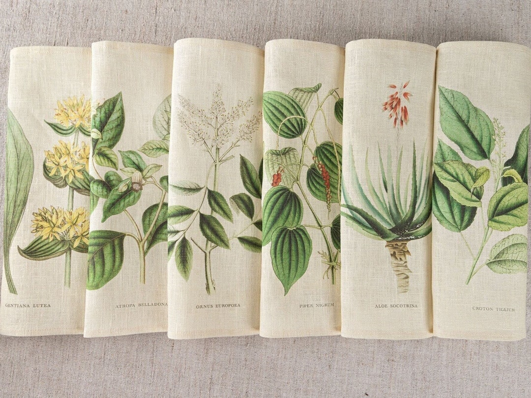 Set of 6 Natural Linen Dinner Napkins With Botanical Print, Apothecary ...