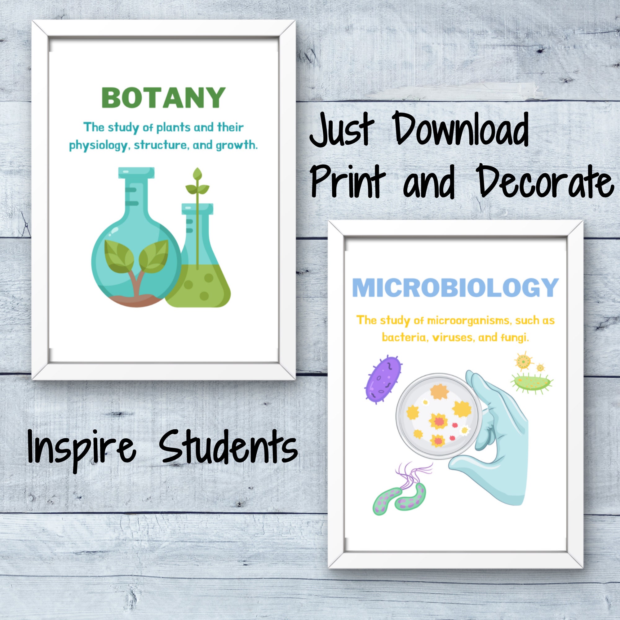 Science Classroom Decor, Science Poster, Science Class Decor, Science ...