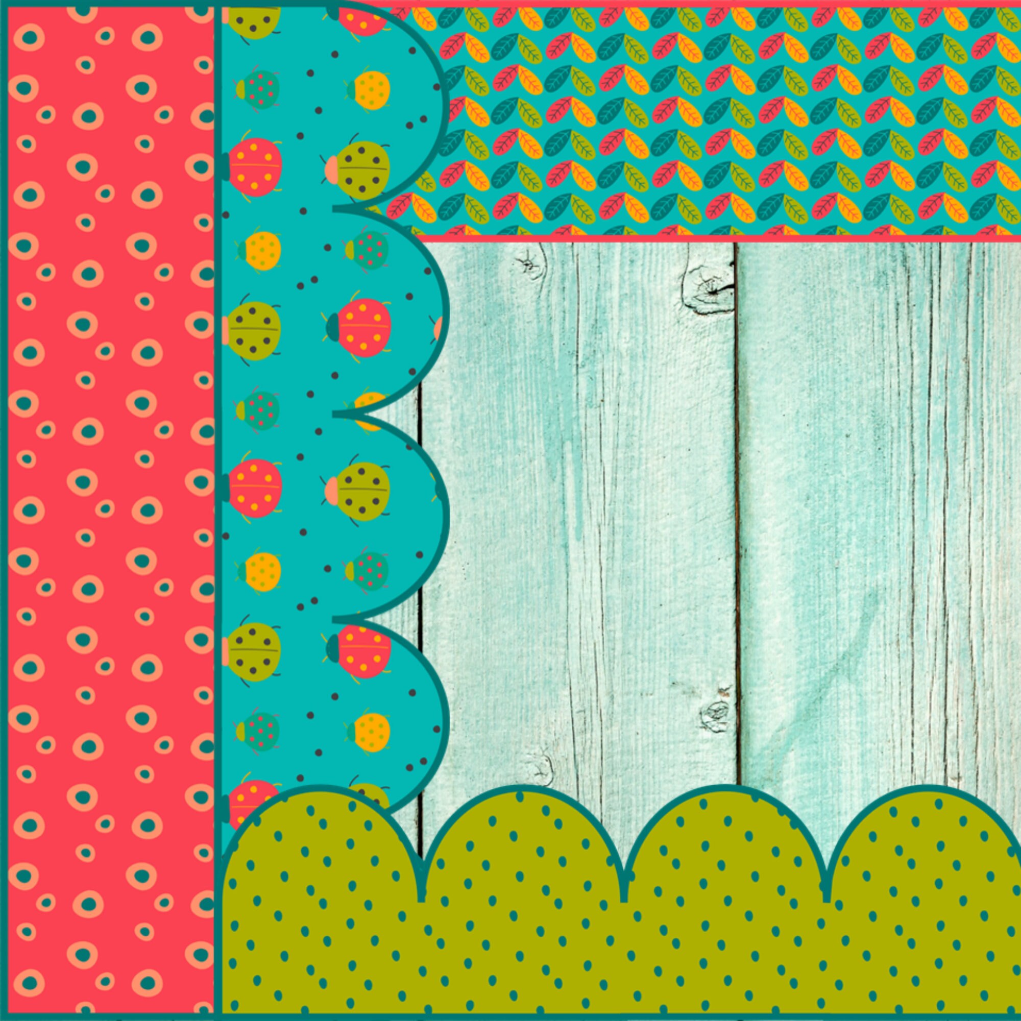 Bulletin Board Border Insect Theme Classroom Bulletin Boarder - Etsy