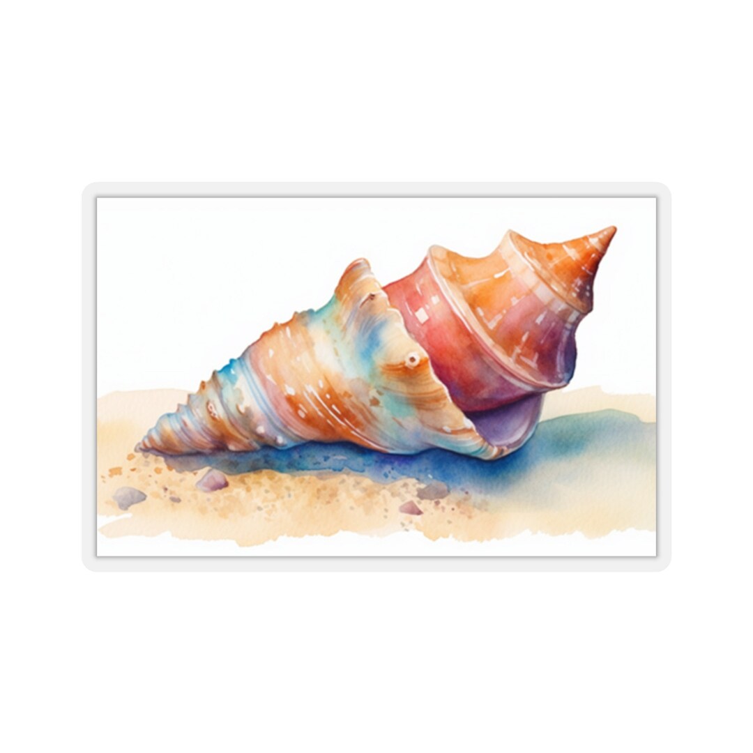 Conch Sticker, Ocean Sticker - Etsy
