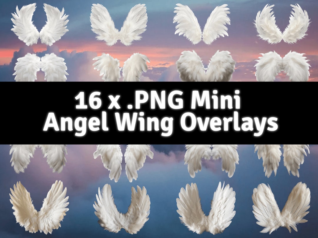 Digital Angel Wings, Transparent Background Png's for Photo Editing ...