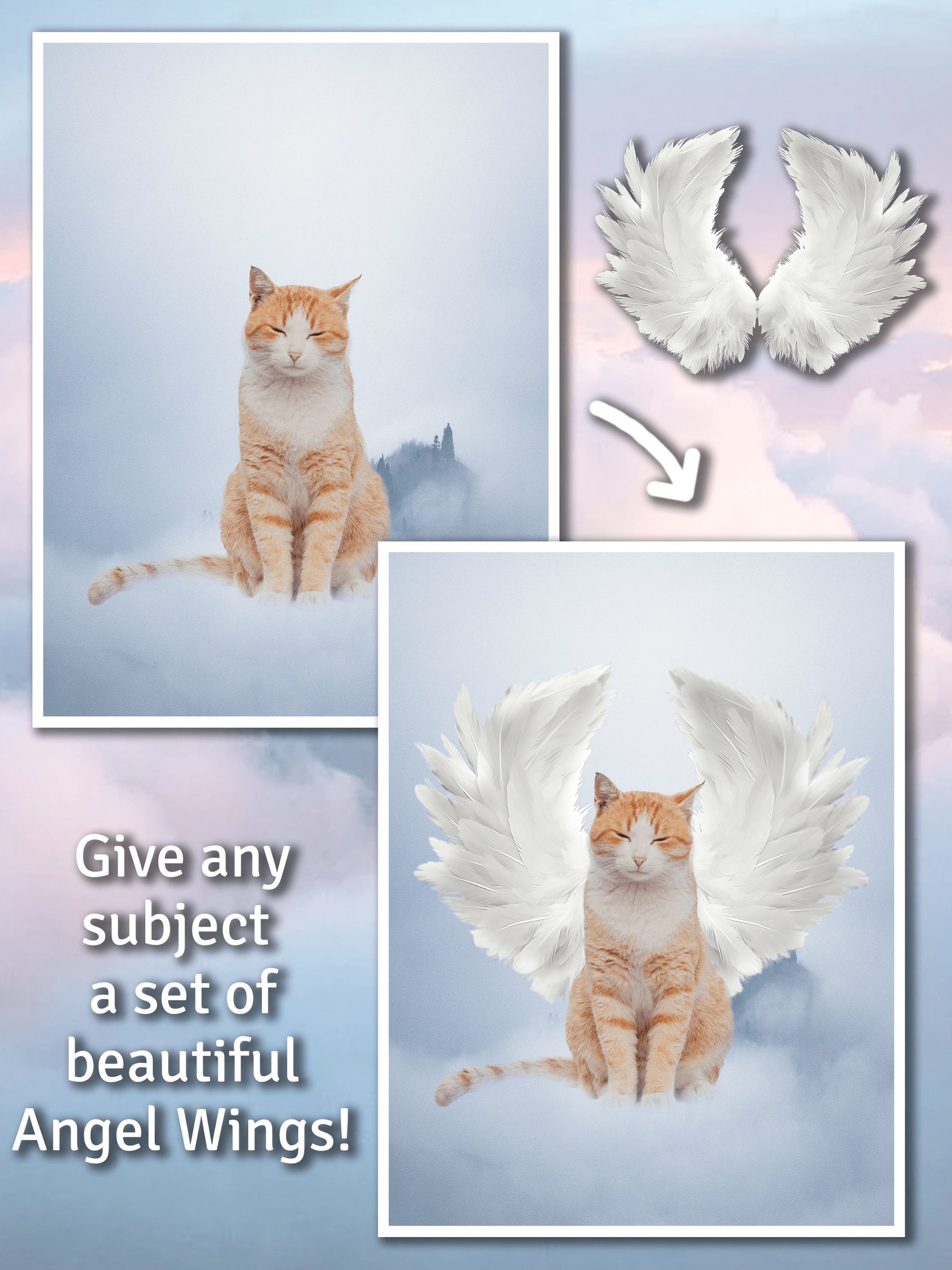 Digital Angel Wings, Transparent Background Png's for Photo Editing ...