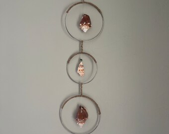 Seashells, Seashell Art, Ocean Art, Beach Shells, Florida Island Shells ...