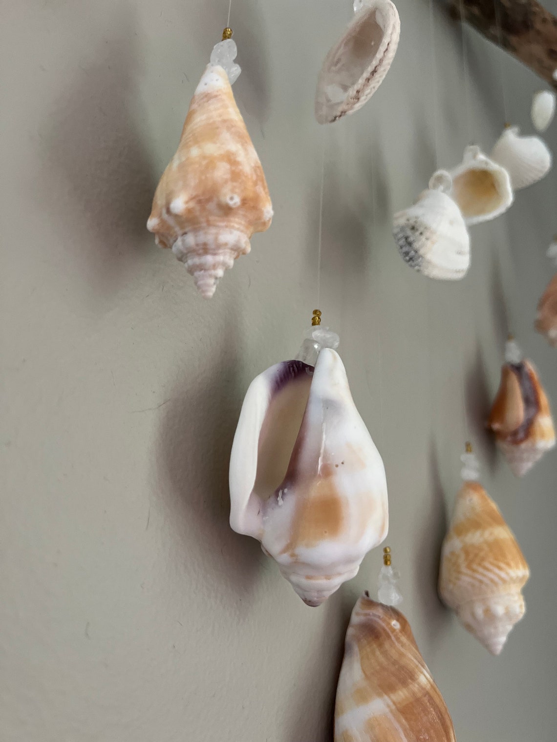 Seashells, Seashell Art, Ocean Art, Beach Shells, Florida Island Shells ...