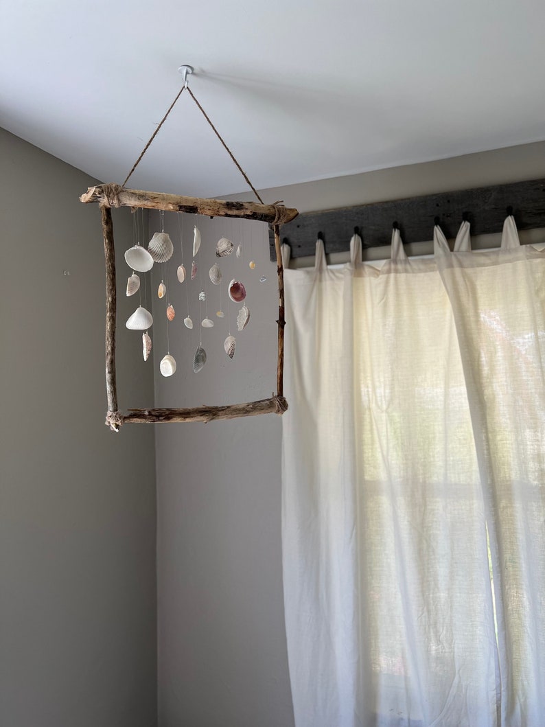 Seashells, Seashell Art, Ocean Art, Beach Shells, Florida Island Shells ...