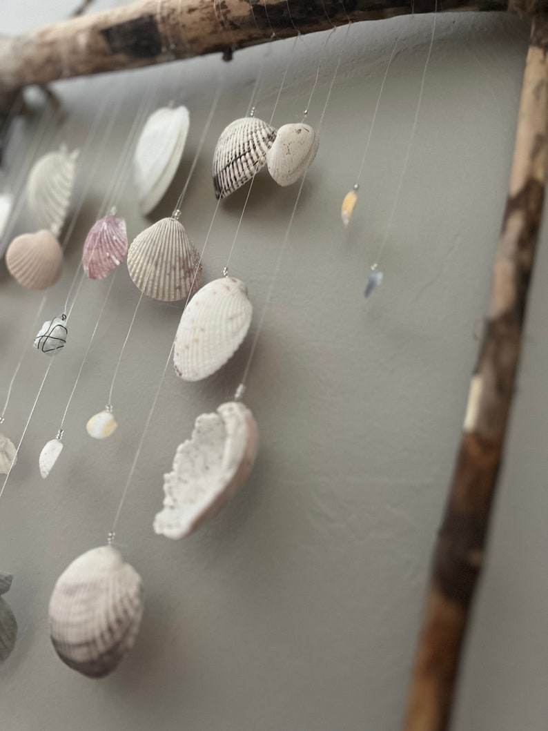 Seashells, Seashell Art, Ocean Art, Beach Shells, Florida Island Shells ...