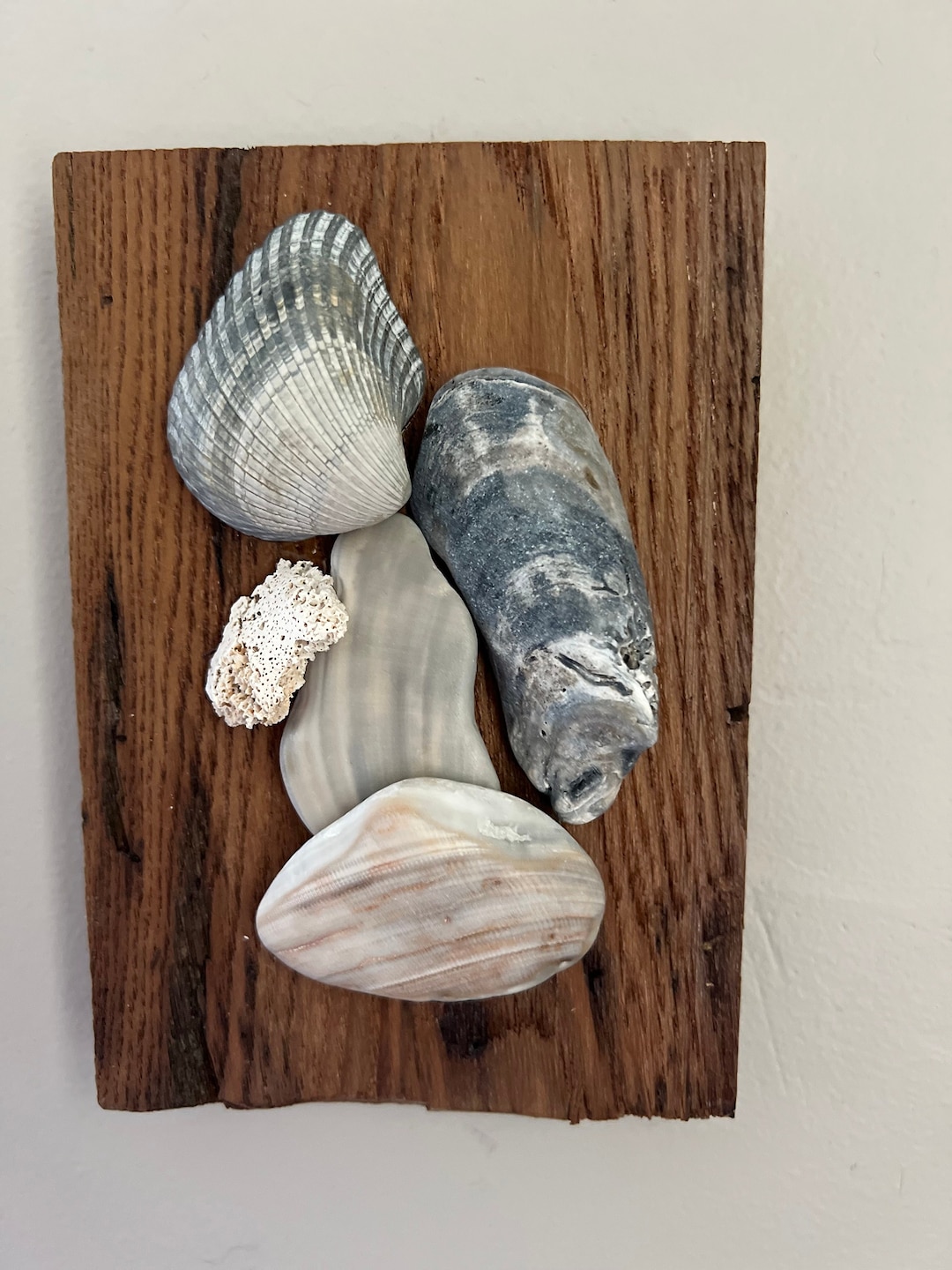 Seashells, Seashell Art, Hand-picked, Ocean Art, Beach Shells, OBX ...