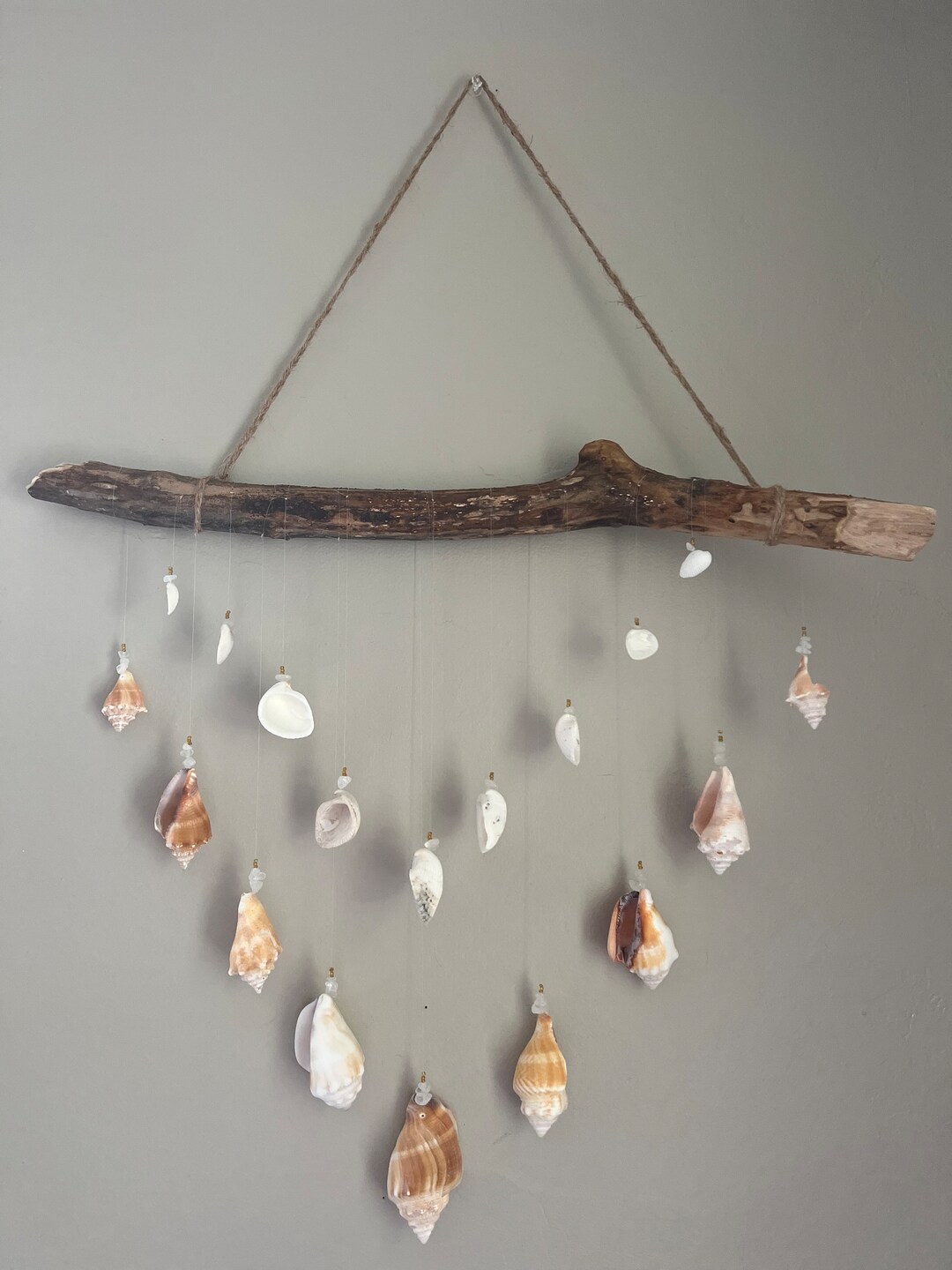 Seashells, Seashell Art, Ocean Art, Beach Shells, Florida Island Shells ...
