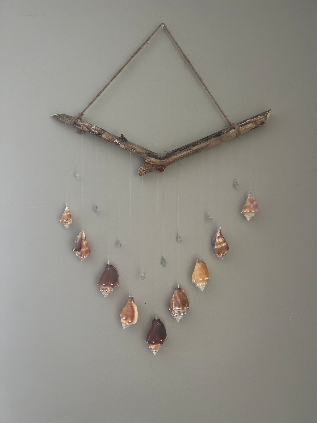 Seashells, Seashell Art, Hand-picked, Ocean Art, Beach Shells, Florida ...