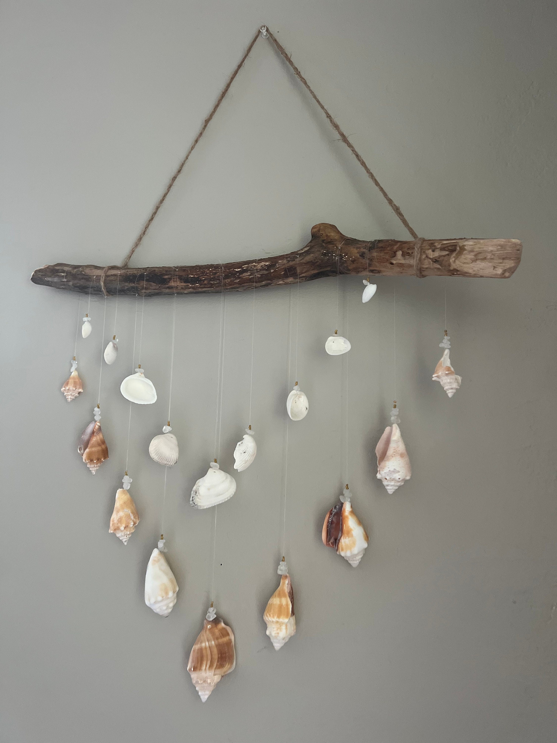Seashells, Seashell Art, Ocean Art, Beach Shells, Florida Island Shells ...