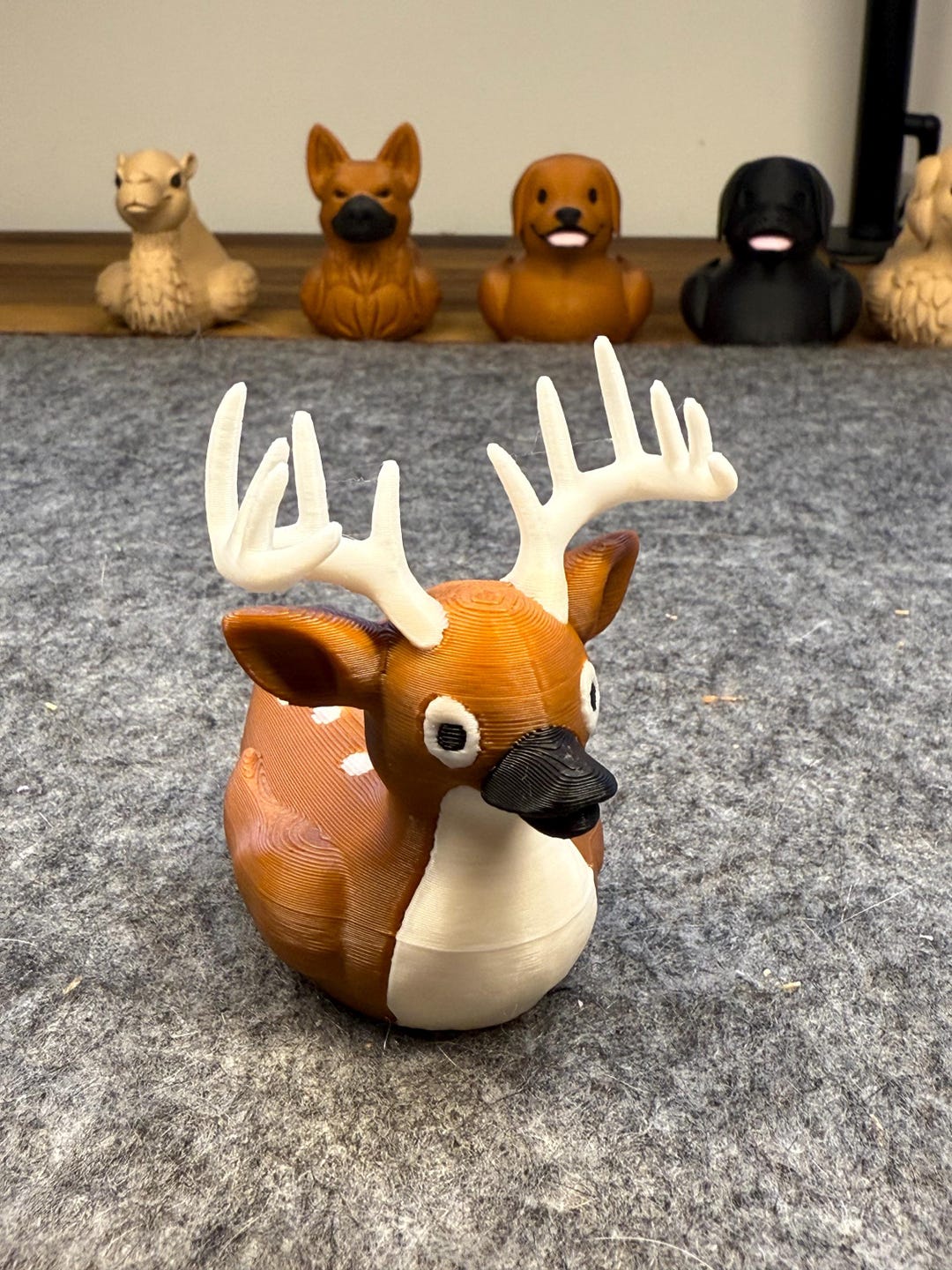 Buck Duck | Deer Duck | White Tail Duck | Ducking | Animal Duck ...