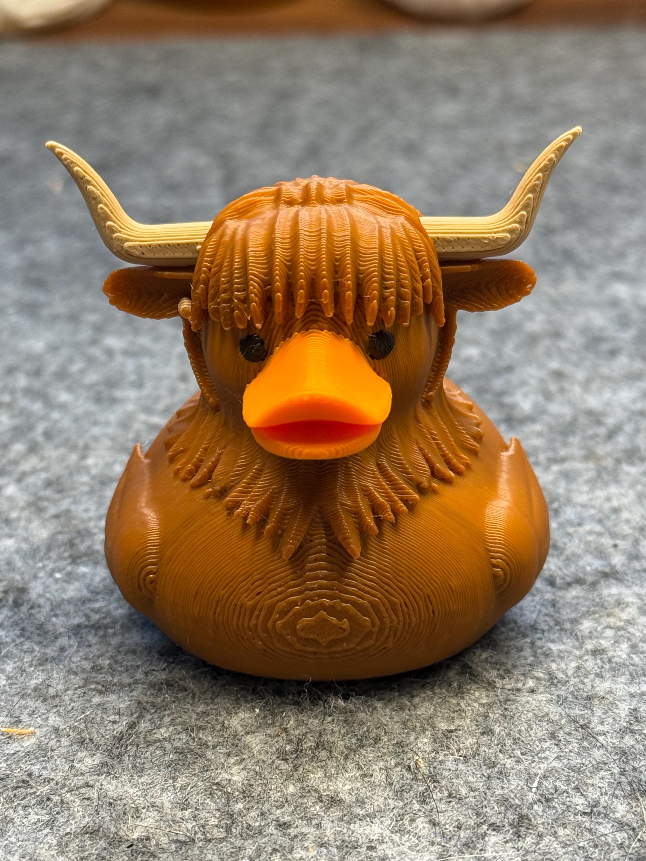 Highland Cow Duck | Fun Duck | Ducking | Custom Duck | Cow | Graduation ...