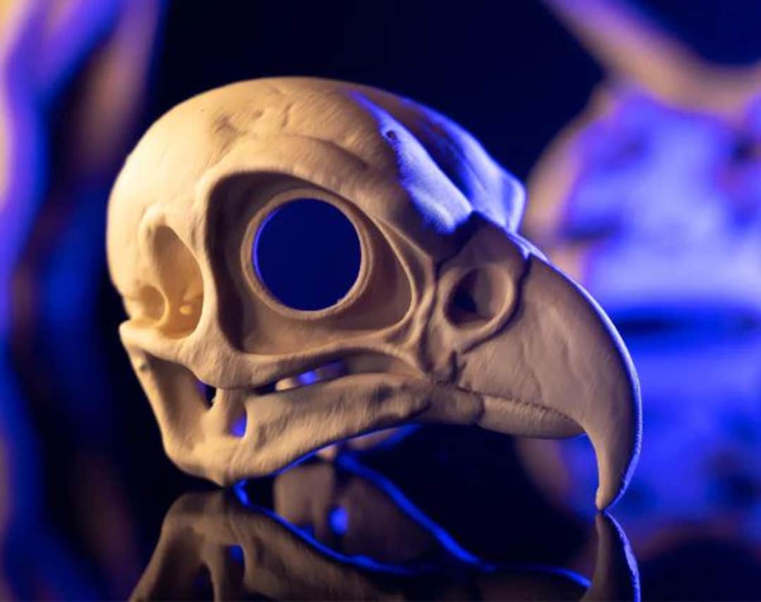 Falcon Skull Fossil | 3d Printed Replica Skull | Dinosaur Fossil Skull ...