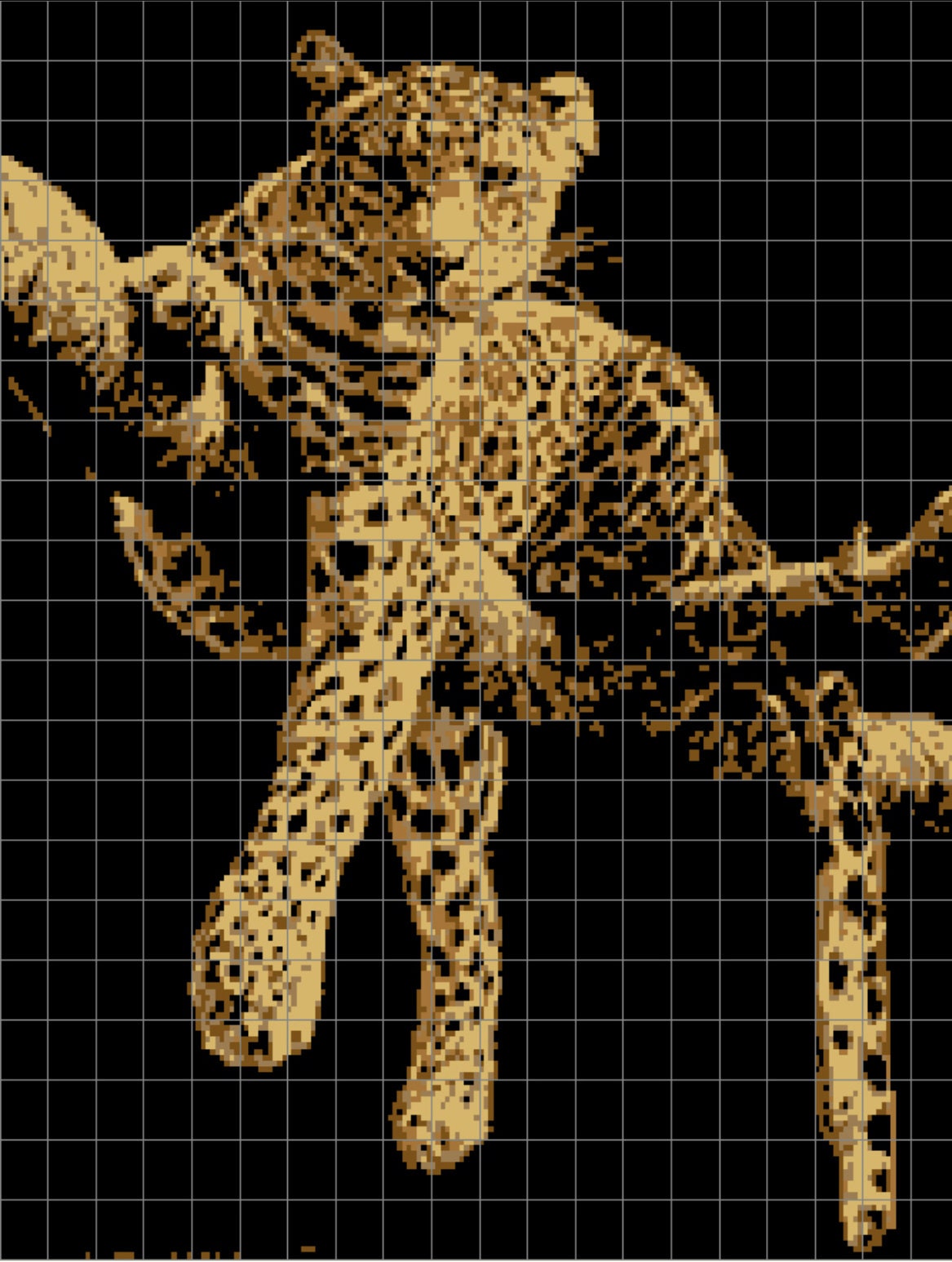 Leopard Graph Crochet Pattern Graph and Crochet Pattern Could Also Be ...