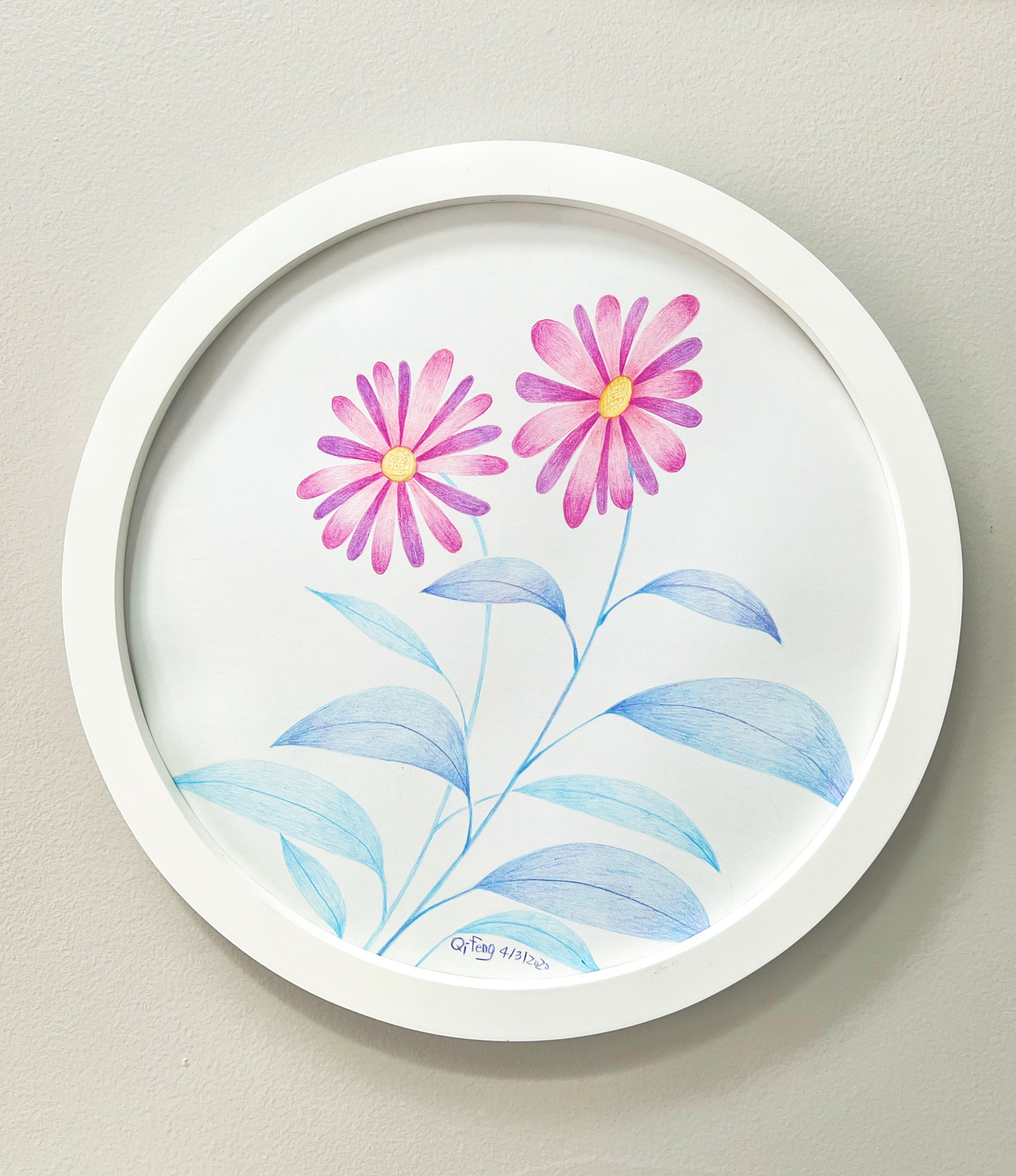 Original Pink Daisy Flower, Colored Pencil Art Drawing, Round 13.2 X 13 ...