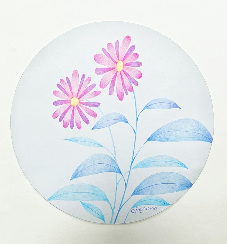 Original Pink Daisy Flower, Colored Pencil Art Drawing, Round 13.2 X 13 ...