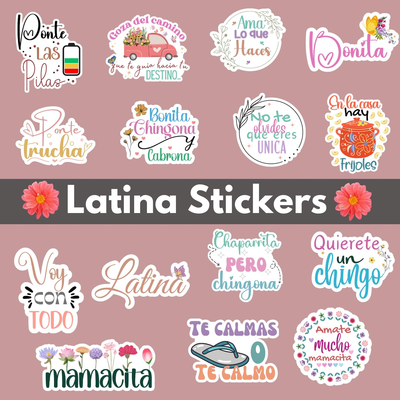 Latina Stickers PNG Bundle |latina Stickers Png |laptop Stickers ...