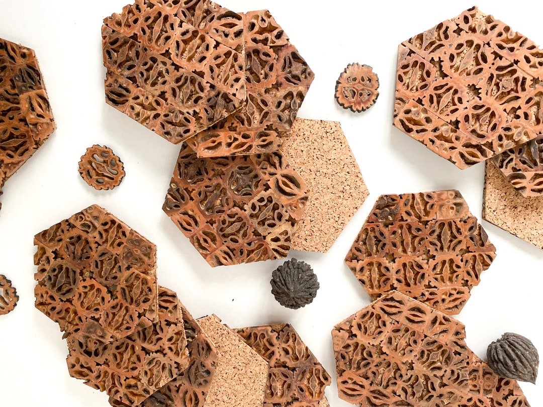 Pack of 4 Modular Coasters Worked With the Seed of the Walnut Tree, by ...