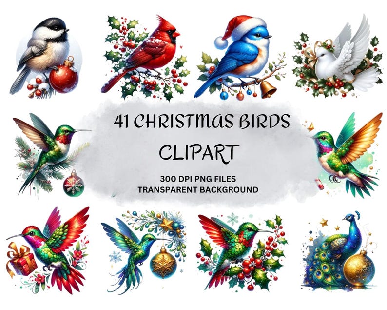 Watercolor Winter Birds Clipart | Cardinal Bird, Blue Jay, Chickadee ...