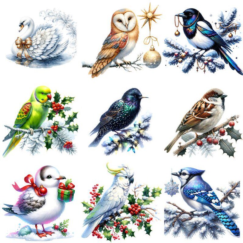Watercolor Winter Birds Clipart | Cardinal Bird, Blue Jay, Chickadee ...