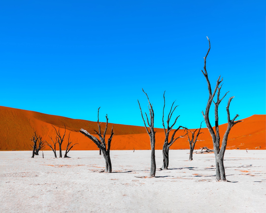 Namibia, Deadvlei, Sossusvlei, Quality Matte Paper Poster, Dead Trees ...