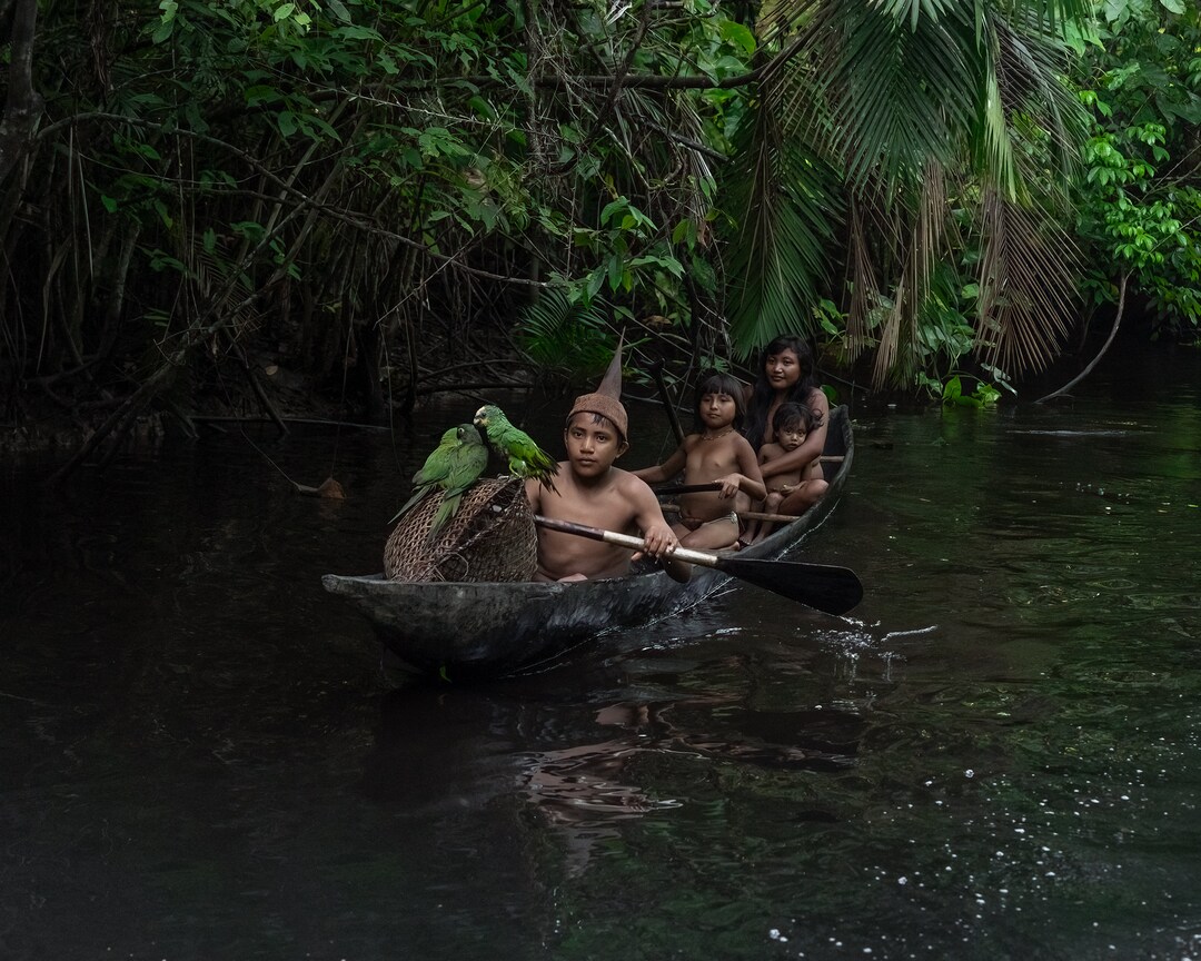 Venezuela, Warao Family in the Boat With Three Parrots, Museum-quality ...