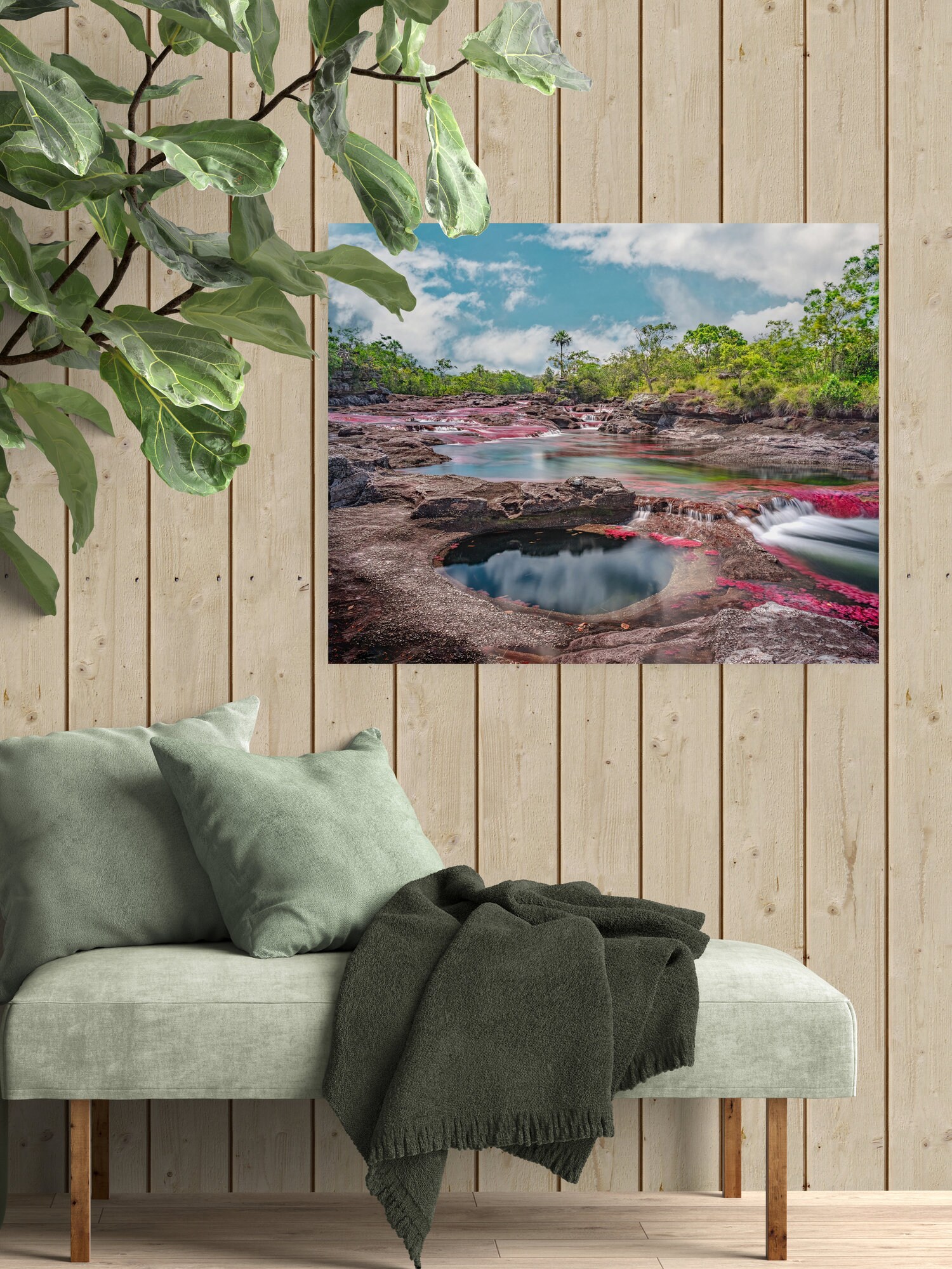Colombia, Crystal River Red Riverbed With Clouds, Horizontal Image ...