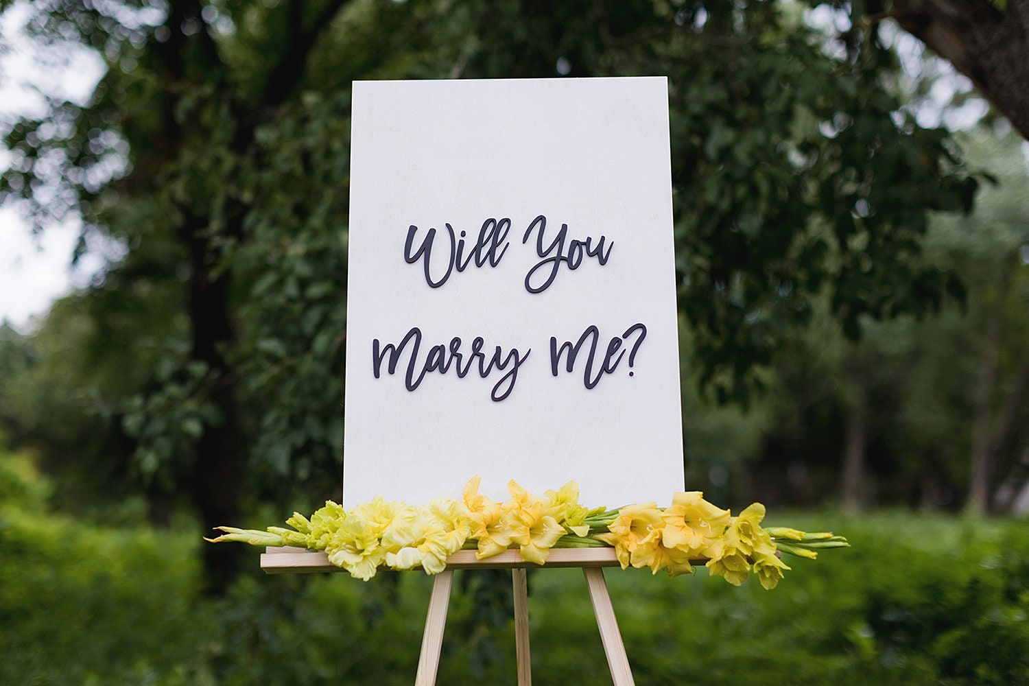 Will You Marry Me Sign, 3D Acrylic Engagement Sign, Reversible Proposal ...