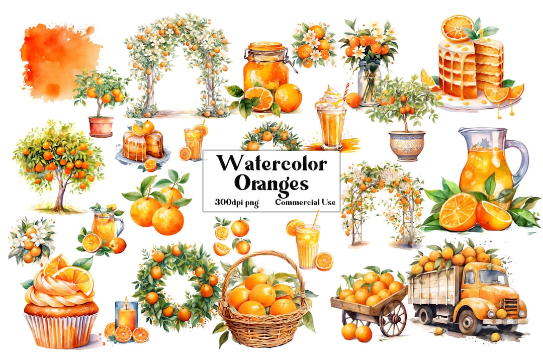 Watercolor Oranges Clipart - Digital Png Oranges, Cupcake, Cake, Orange ...